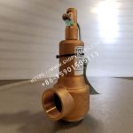 Spirax Sarco SV615/SV615AS Safety Valves
